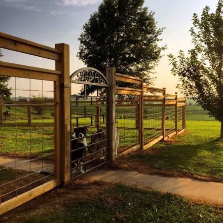 DIY Dog Fence Ideas and Installation Tips: 6 Best Cheap Designs