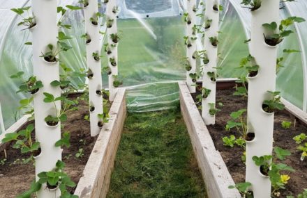40 DIY Strawberry Planter Ideas for Container Planting