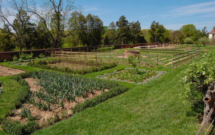 Backyard Strawberry Garden Designs - 22 Practical and Creative Ideas