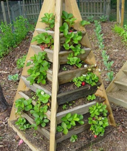 Backyard Strawberry Garden Designs - 22 Practical and Creative Ideas