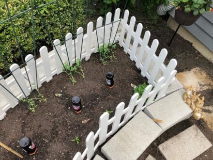10 Vegetable Garden Fence Ideas to Protect Your Produce