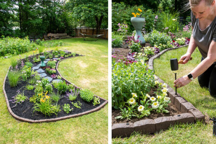 10 Low Maintenance Garden Border Ideas for Every Budget