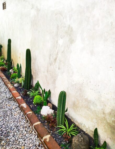 10 Low Maintenance Garden Border Ideas for Every Budget