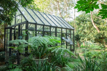 How to Build a Greenhouse That Can Withstand Wind