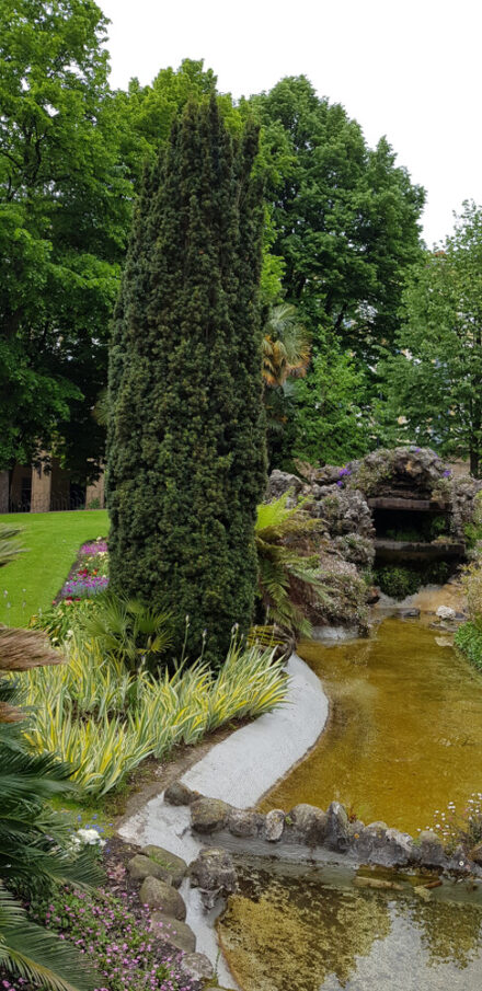 25 Spectacular Yew Landscaping Ideas (Taxus spp.)