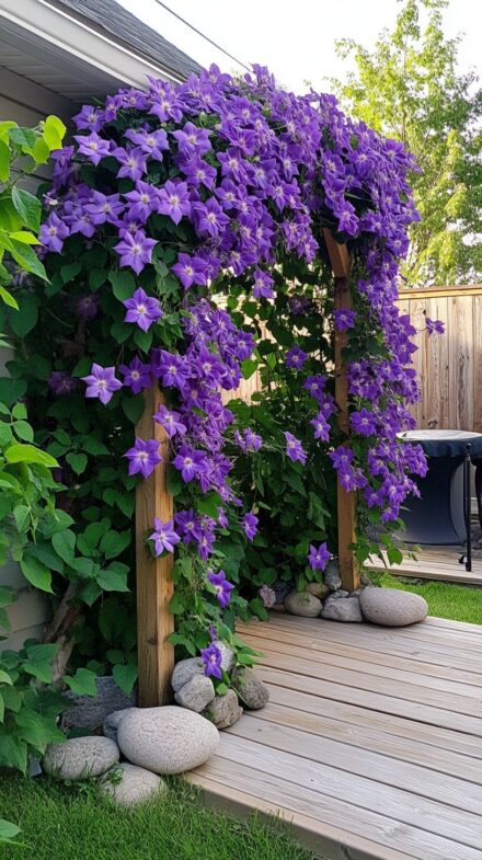 Creating a Garden Arbor with Vines or a Vine Arch - 35 ideas