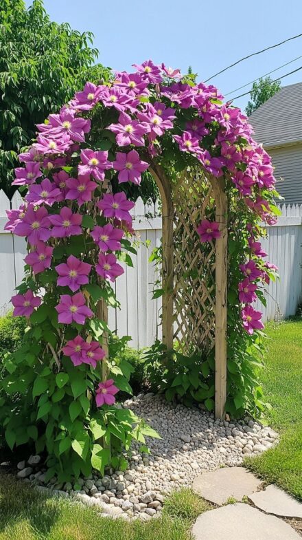 Creating a Garden Arbor with Vines or a Vine Arch - 35 ideas